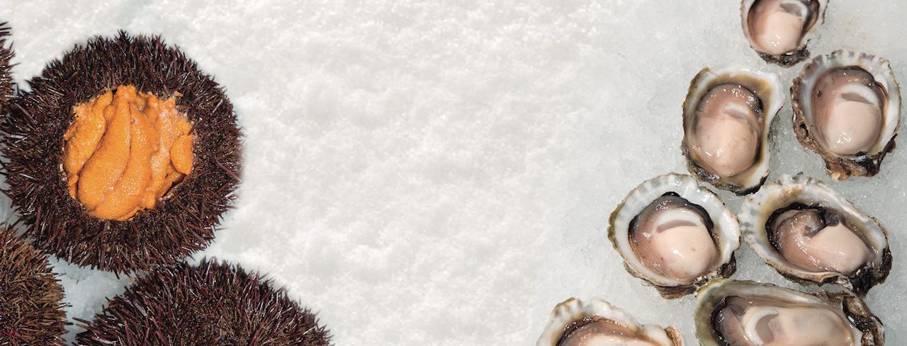 Productos – La Pesca de los Mekis